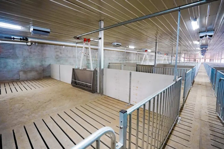 Turnkey Pig Husbandry Solution For Finishing Farm - Buy Pig Husbandry ...